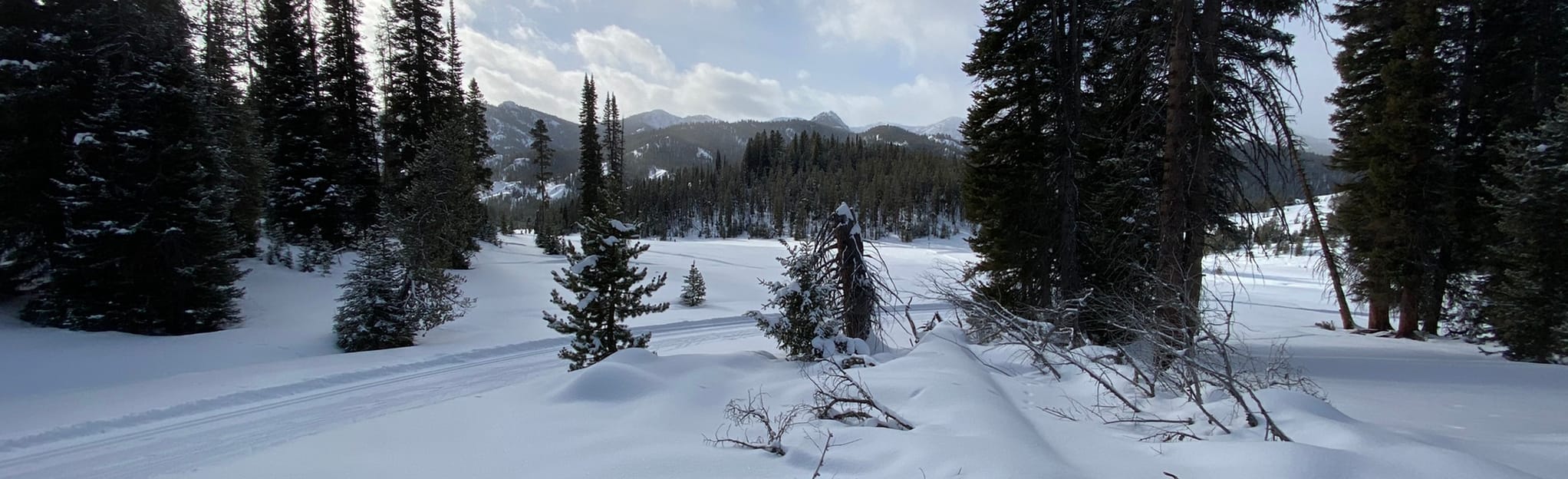 Senate Meadows Loop, Idaho - 31 Reviews, Map | AllTrails