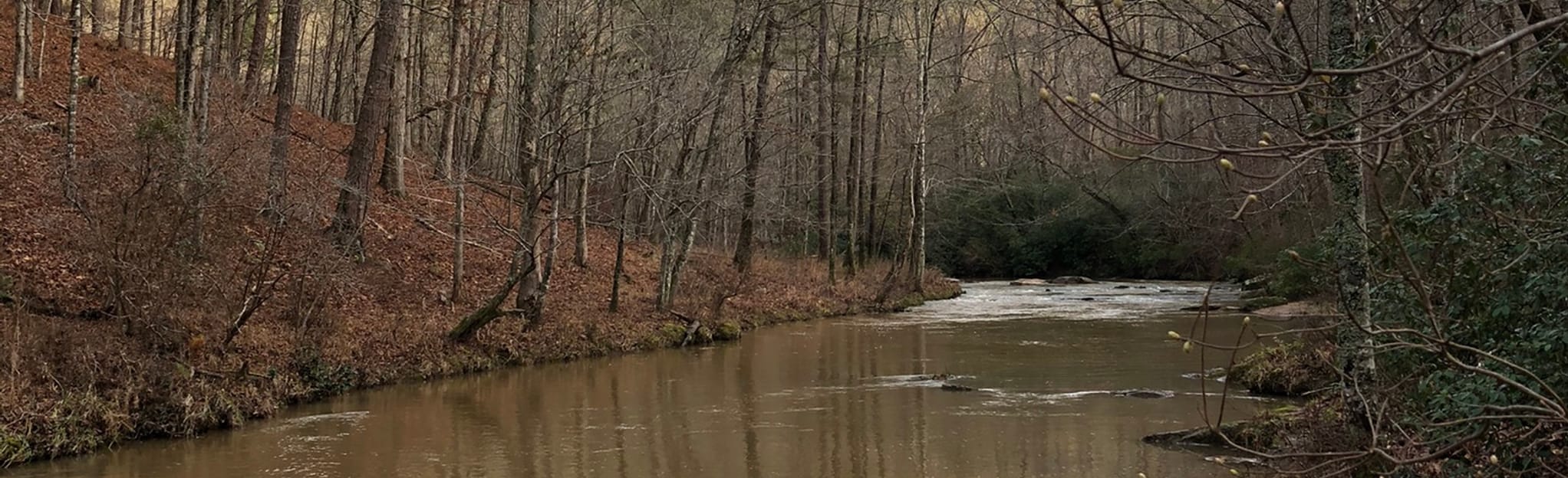 Cochran Mill Red Loop, Georgia - 648 Reviews, Map | AllTrails