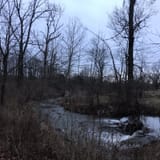 Clear Creek Trail, Indiana - 477 Reviews, Map | AllTrails