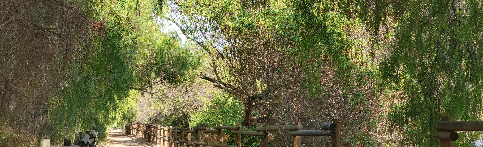 Peppertree Bend Trail via Oso Rancho Capistrano | Map, Guide ...