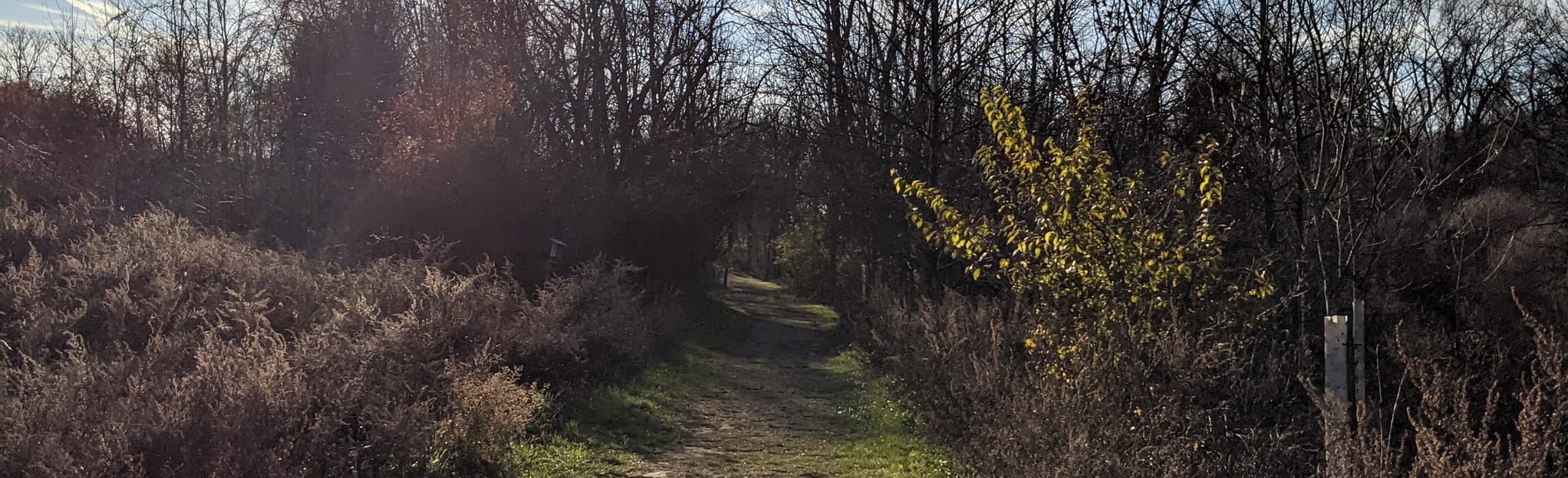 Cromwell Valley Birder's Path: 46 Reviews, Map - Maryland | AllTrails