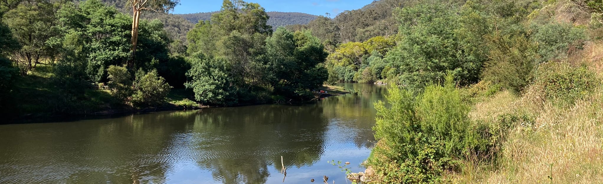 Mitchell River Walking Track, Victoria, Australia - 24 Reviews, Map ...