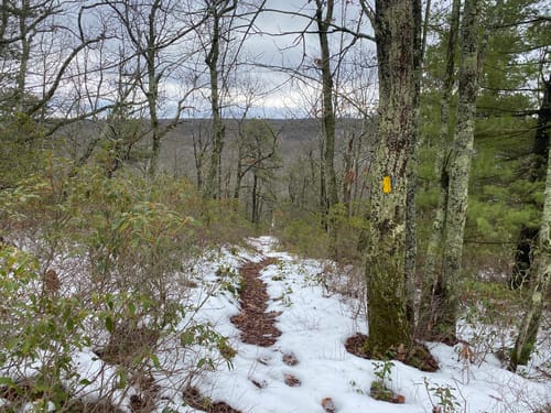 Best Hikes and Trails in The Hook Natural Area | AllTrails