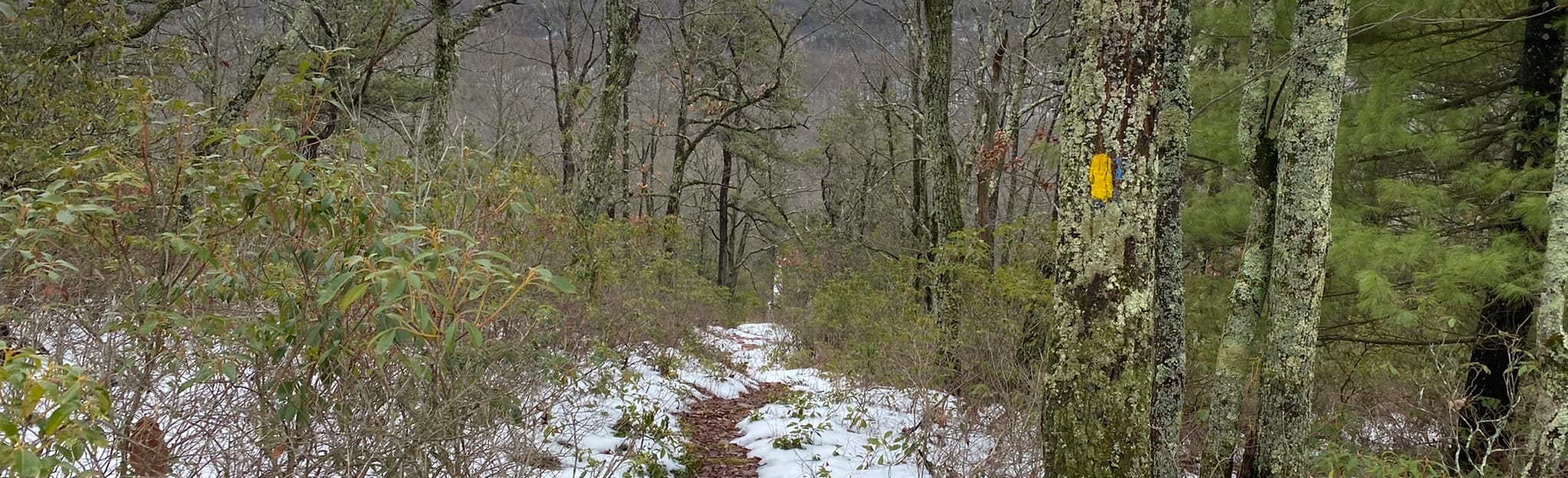 Braucher Path: 8 Reviews, Map - Pennsylvania | AllTrails