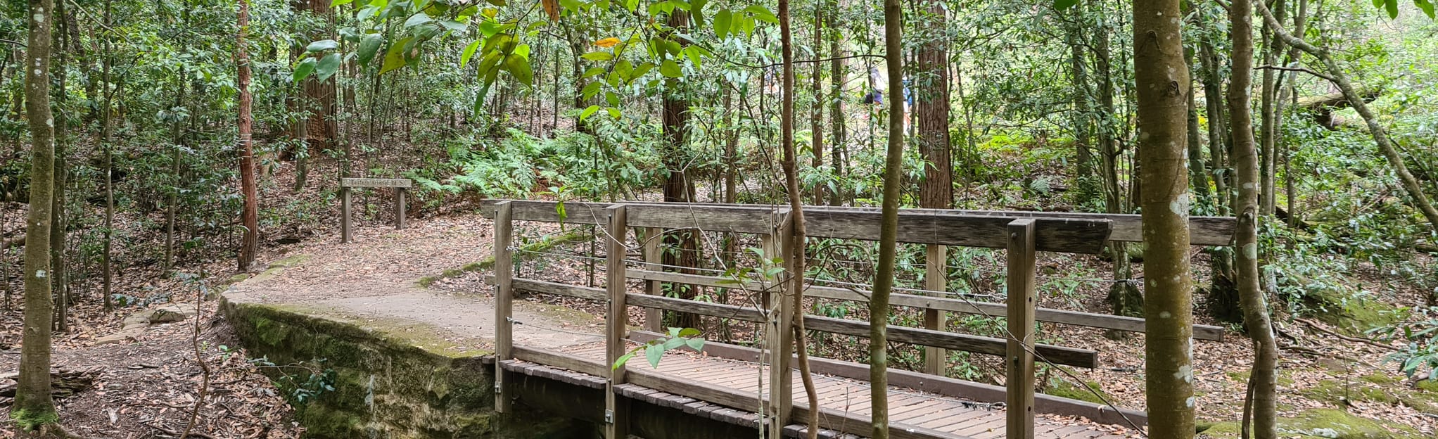 Swain Gardens via Two Creeks Track , New South Wales, Australia - 19 ...