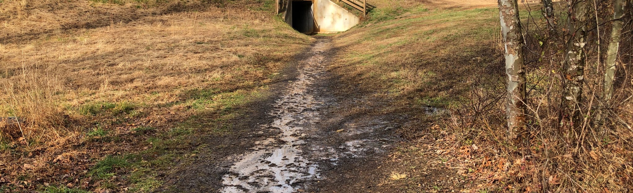 Crozet Park Trails: 212 Reviews, Map - Virginia | AllTrails