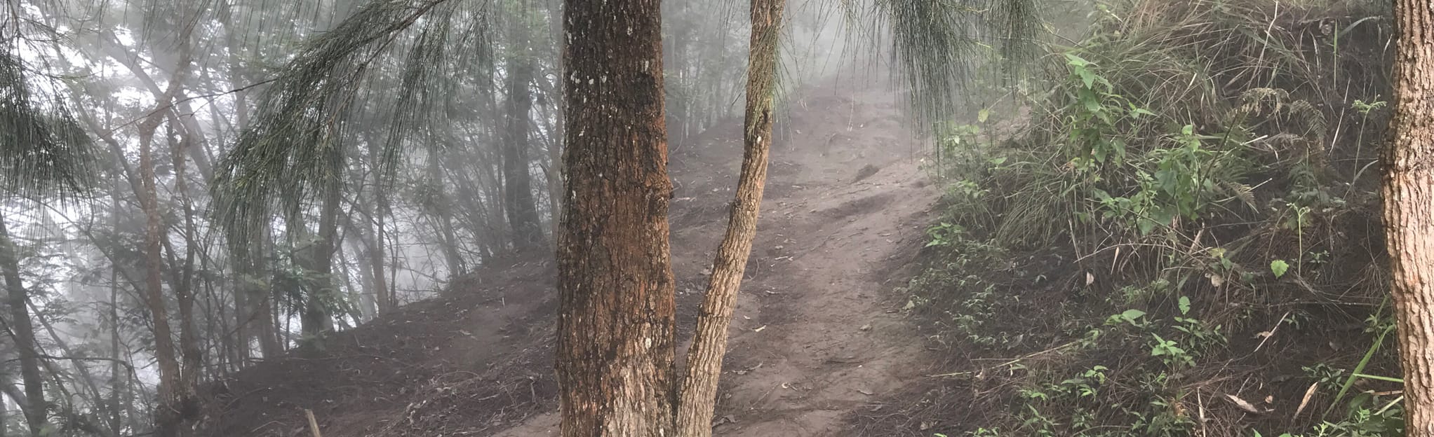 Gunung Panderman, East Java, Indonesia - 21 Reviews, Map | AllTrails