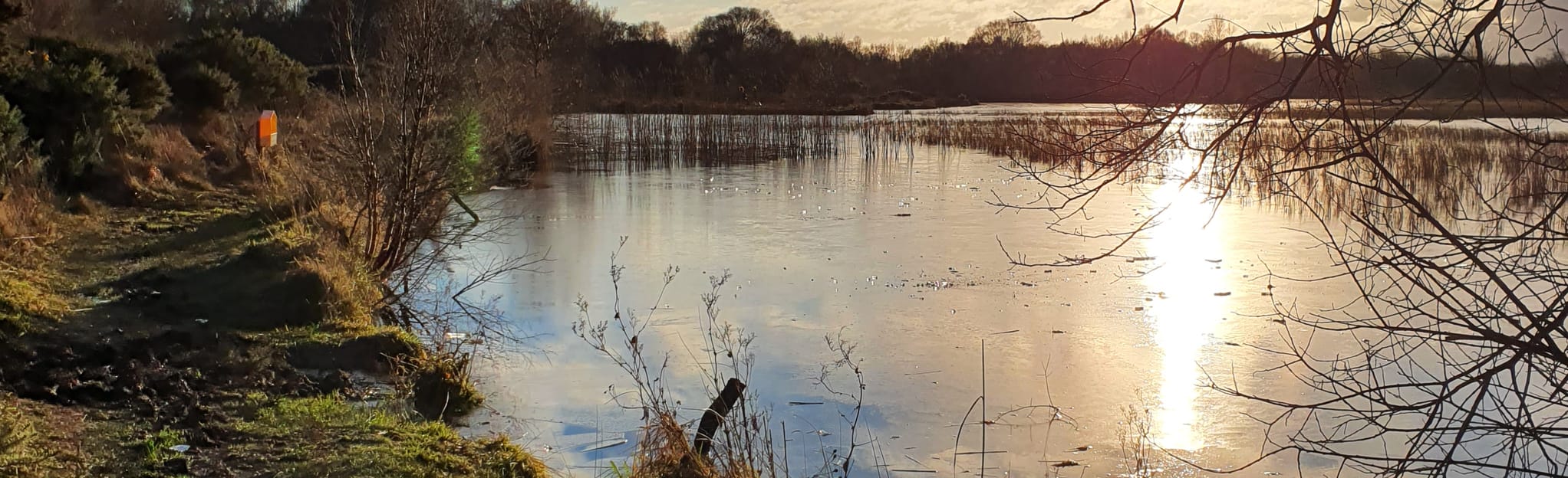 Ballynafagh Lake Loop: 20 Fotos - County Kildare, Irland | AllTrails