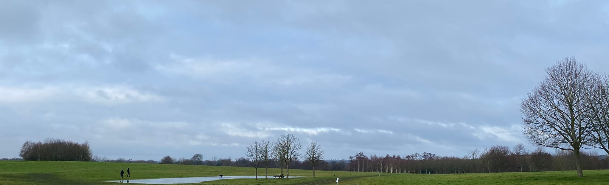 Horsell Common Circular: 16 Reviews, Map - Surrey, England | AllTrails