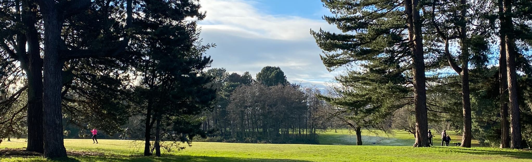 Calderstones Park and Clarkes Garden Circular: 27 foto's - Merseyside ...