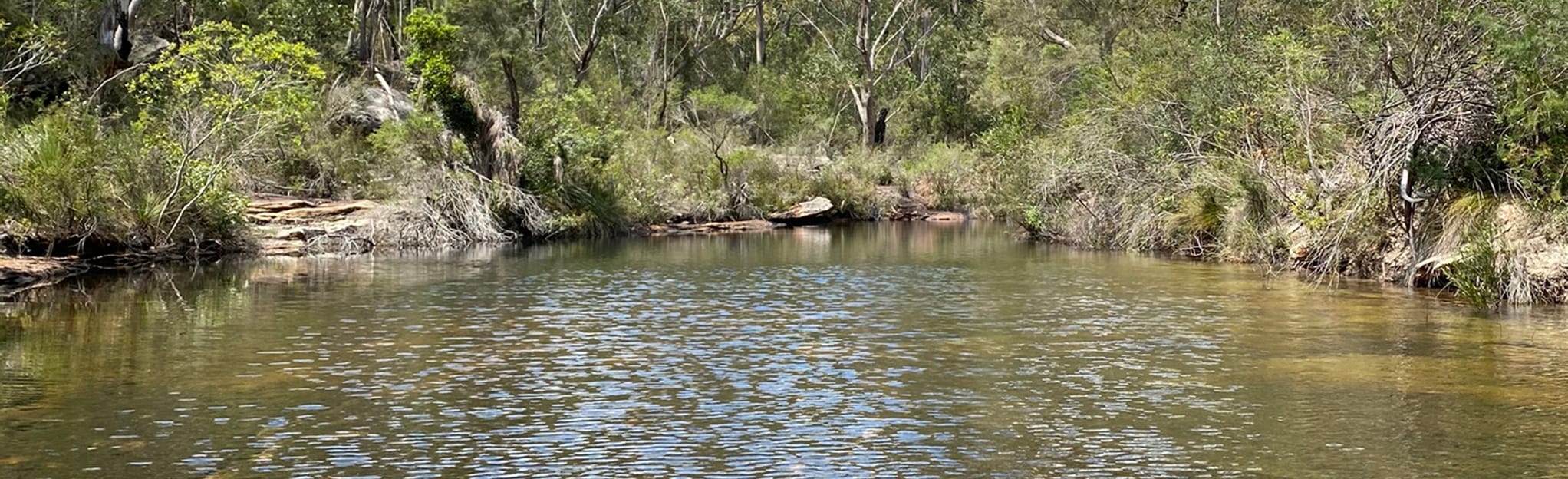 Karloo Pool and Uloola Falls via Karloo Track - New South Wales ...