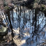Copicut Woods, Massachusetts - 161 Reviews, Map | AllTrails