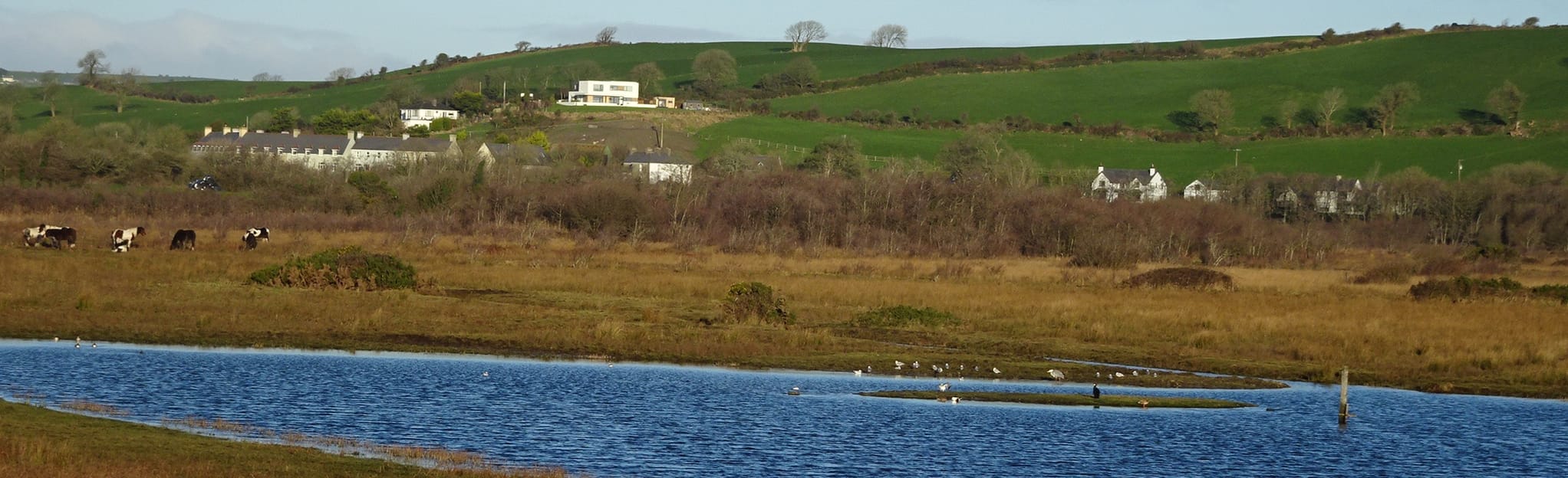 Clogheen Marsh Nature Reserve Loop - County Cork, Ireland | AllTrails