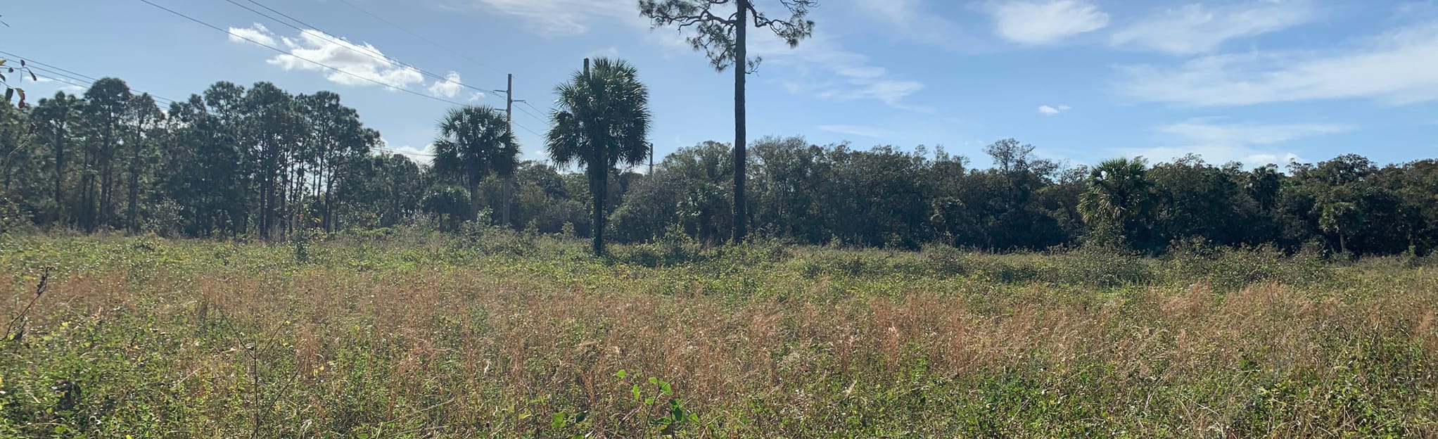 Prairie Overlook to Wetland Wander Loop: 175 Reviews, Map - Florida ...
