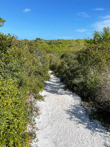 10 Best Trails and Hikes in Jupiter | AllTrails