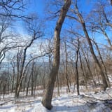 Perry Lake Hiking Trail, Kansas - 107 Reviews, Map | AllTrails