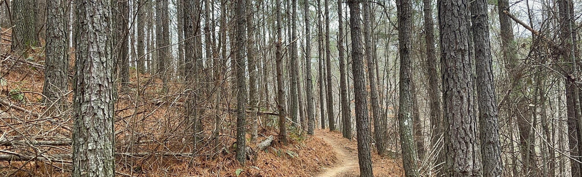 Nitro North, Georgia - 135 Reviews, Map | AllTrails