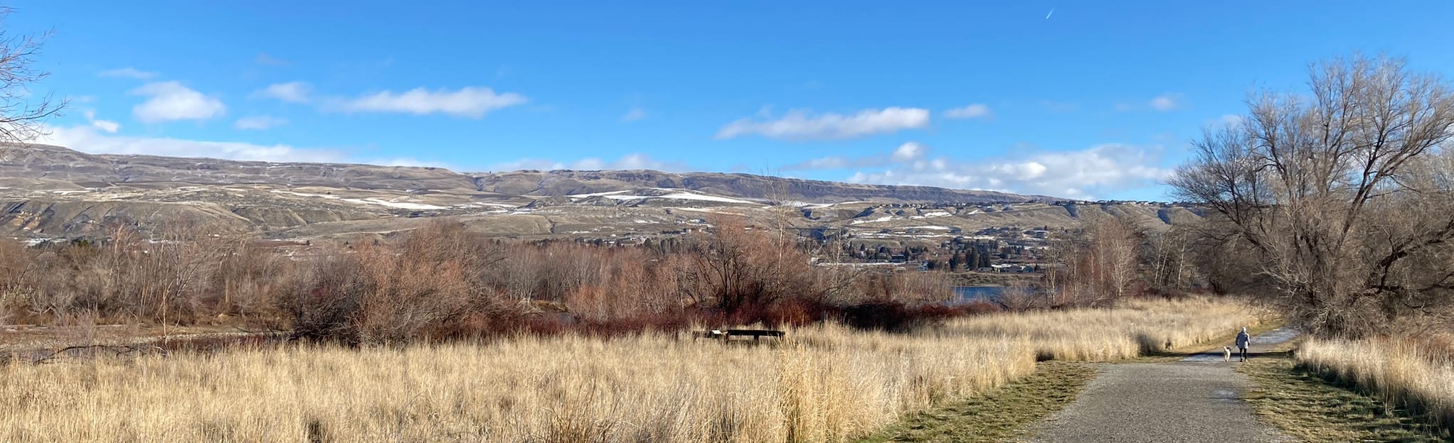 Wenatchee Confluence Trail, Washington - 141 Reviews, Map | AllTrails