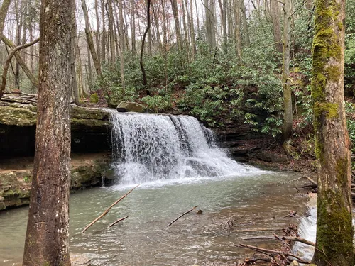 Best Hikes and Trails in Laurel Run Park | AllTrails