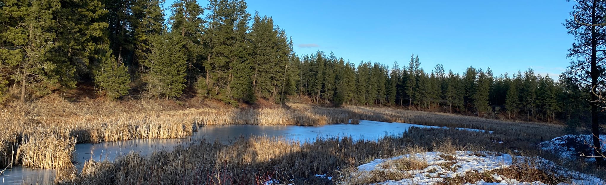 Kepple Peninsula Short Loop, Washington - 14 Reviews, Map | AllTrails