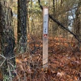 Blue Hole Road, Arkansas - 51 Reviews, Map | AllTrails