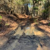 Blue Hole Road, Arkansas - 50 Reviews, Map | AllTrails