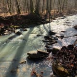 Blue Hole Road, Arkansas - 53 Reviews, Map | AllTrails