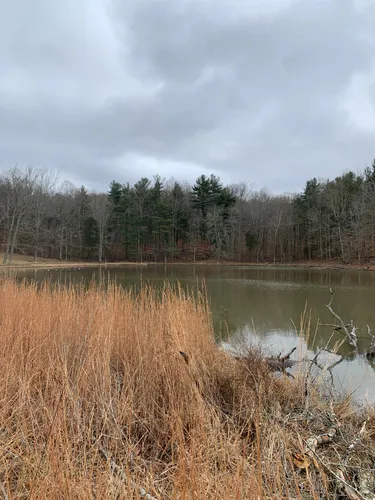 Best Hikes and Trails in German Ridge Recreation Area | AllTrails