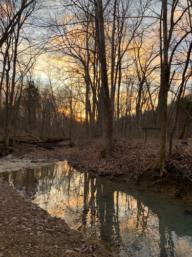 Best Hikes and Trails in German Ridge Recreation Area | AllTrails