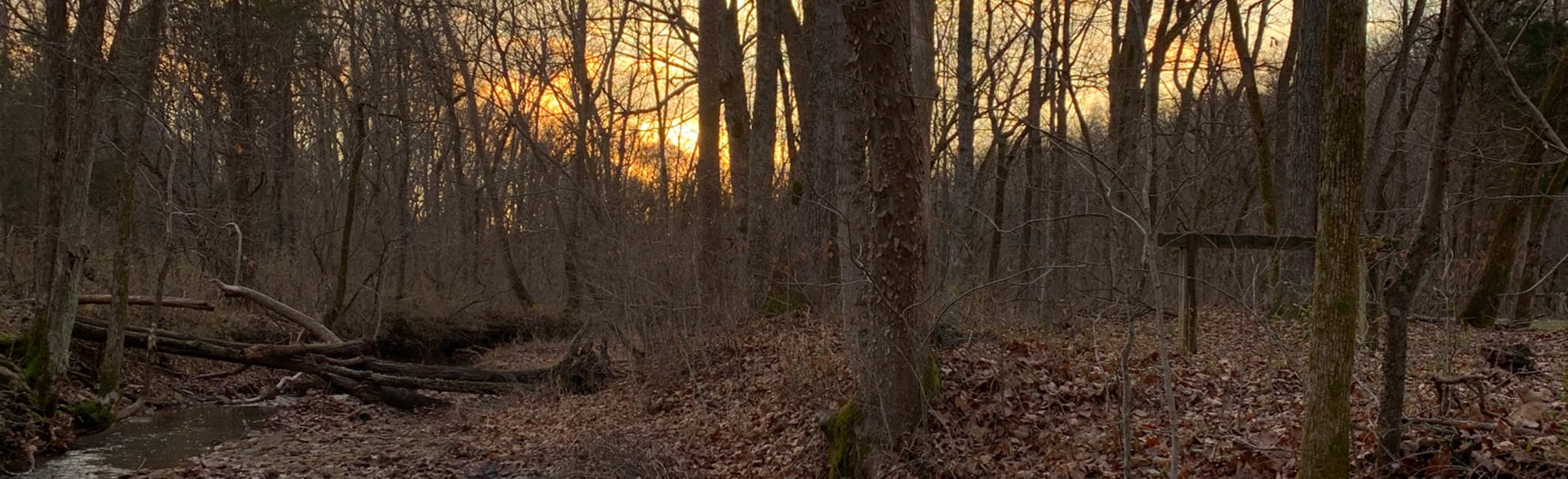 German Ridge North Loop via Gerald Road: 54 Reviews, Map - Indiana ...