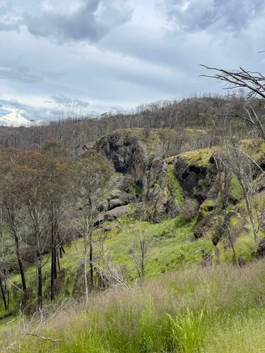 Best 10 Hikes and Trails in Alpine National Park | AllTrails