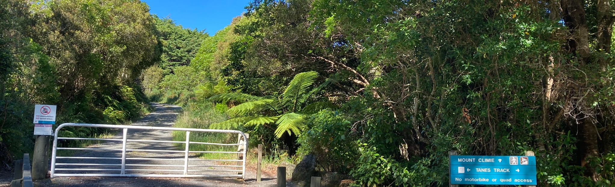 Tane's Track, Wellington, New Zealand - 49 Reviews, Map | AllTrails