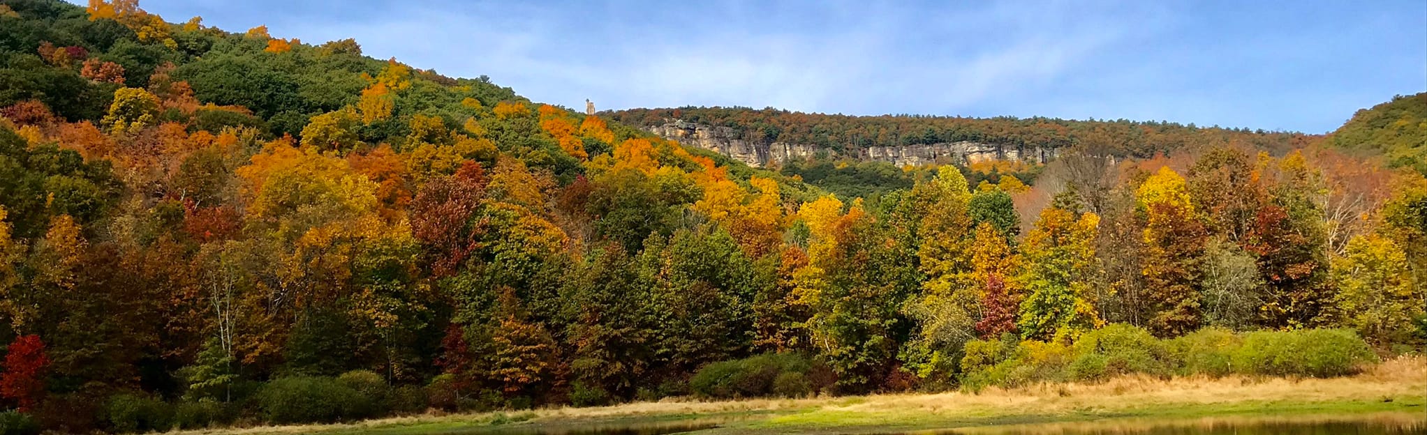 AllTrails | Catskill, Duck Pond, and Forest Drive Loop: 272 Reviews ...