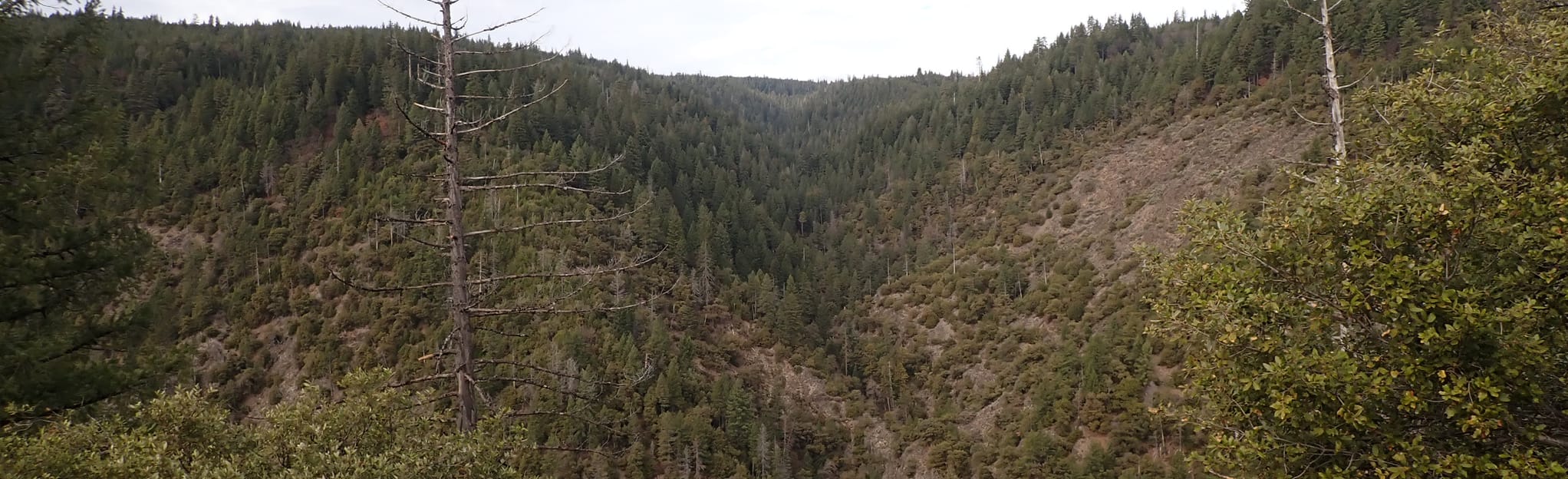 Halls Ranch and Fiddle Creek Ridge Trail, California - 10 Reviews, Map ...