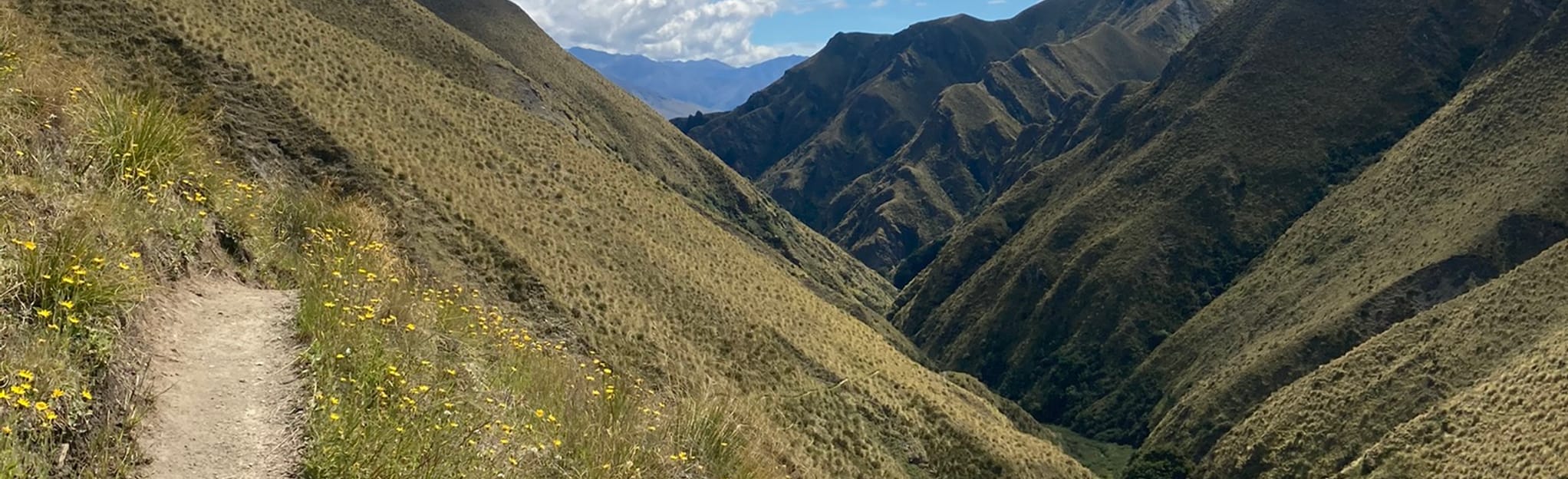 Motatapu Track: Fern Burn Carpark to Fern Burn Hut, Otago, New Zealand ...