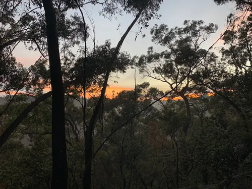 10 Best Walking Trails in Springwood | AllTrails