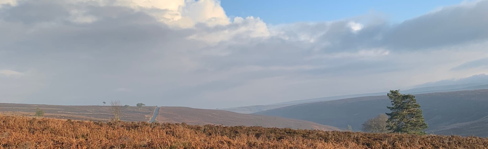 Baysdale Circular Walk from Hob Hole: 41 Fotos - North Yorkshire ...