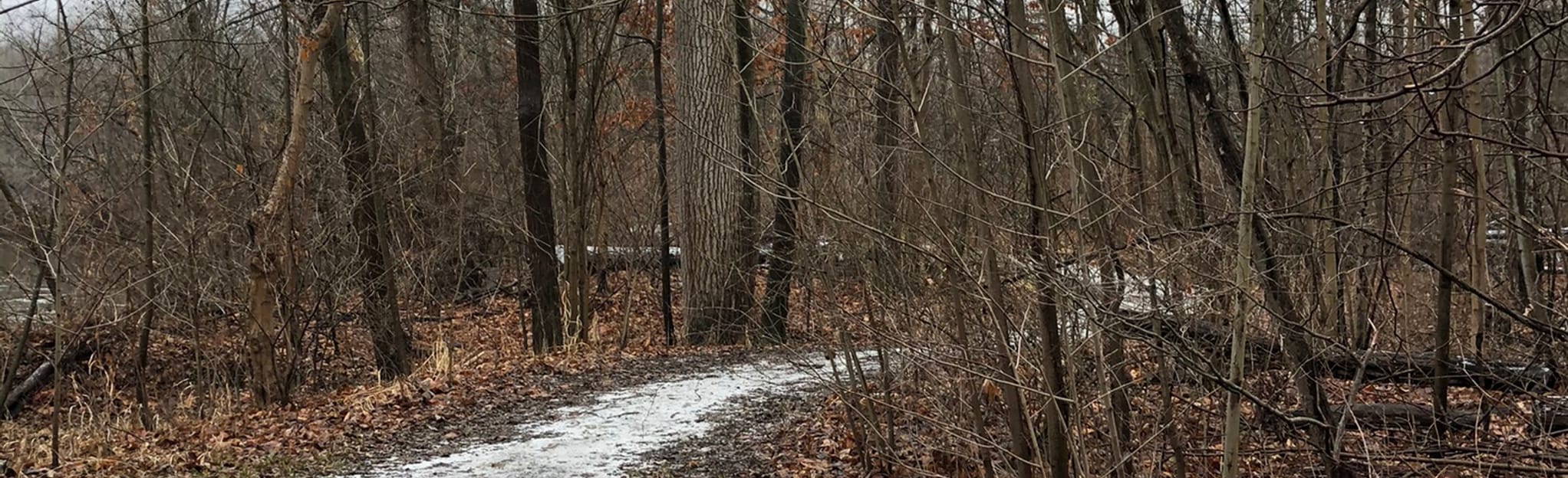 Paw Paw Trail: 26 Reviews, Map - Michigan | AllTrails