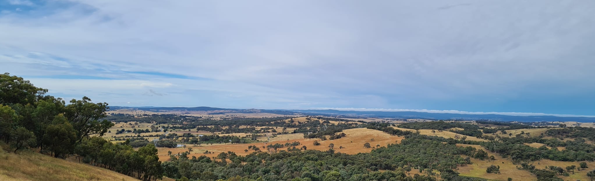 One Tree Hill Lookout via Harry Seidler Crescent, 151 Fotos ...
