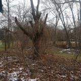 ICC Intercounty Connector Trail, Maryland - 178 Reviews, Map | AllTrails