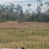 Grassy Waters Preserve: Owahee Trail, Florida - 133 Reviews, Map ...