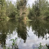 Grassy Waters Preserve: Owahee Trail, Florida - 133 Reviews, Map ...