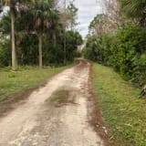 Grassy Waters Preserve: Owahee Trail, Florida - 133 Reviews, Map ...