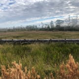 Grassy Waters Preserve: Owahee Trail, Florida - 133 Reviews, Map ...