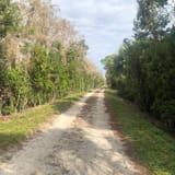 Grassy Waters Preserve: Owahee Trail, Florida - 133 Reviews, Map ...