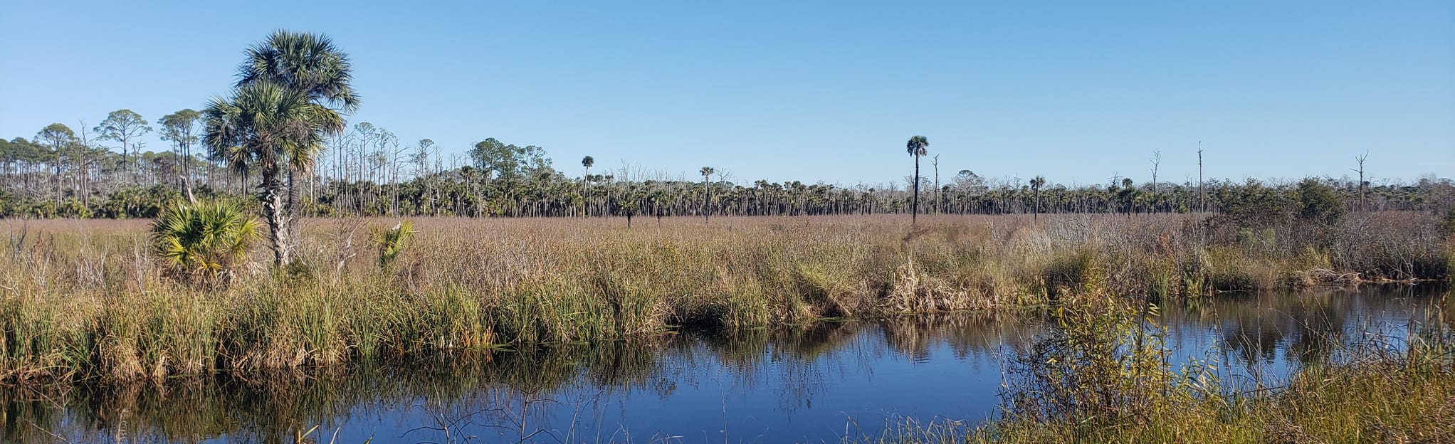 Picnic Pond and Stony Bayou Pools: 10 Reviews, Map - Florida | AllTrails