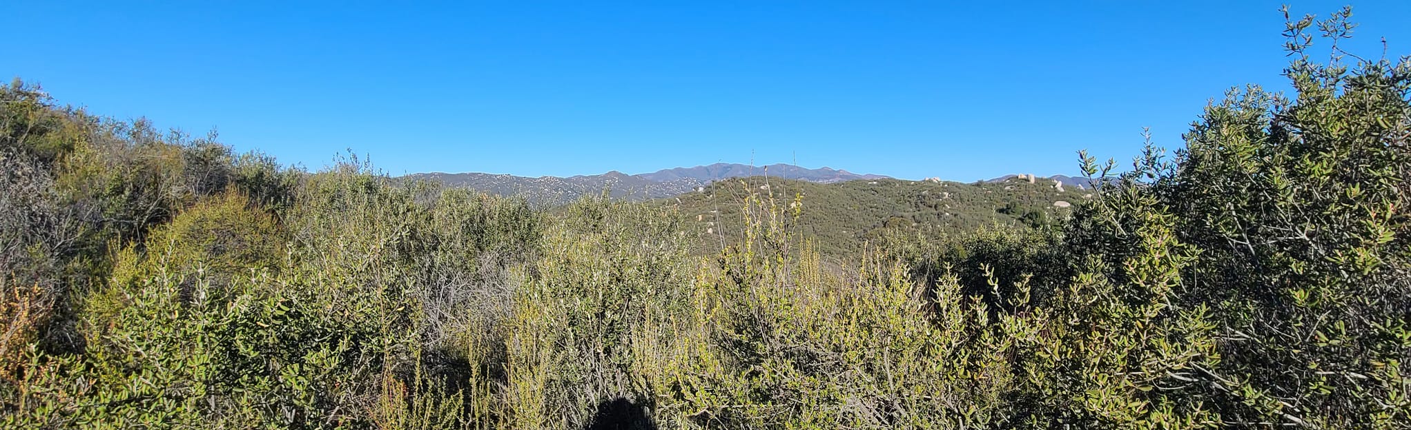 Tenaja Trail, California - 176 Reviews, Map | AllTrails