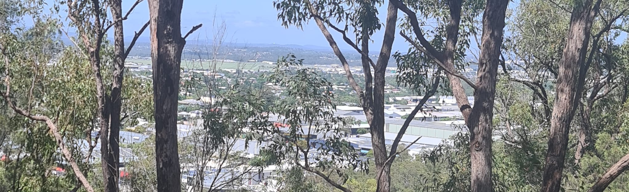 Toohey Ridge and Wilcocks Track: 198 Reviews, Map - Queensland ...