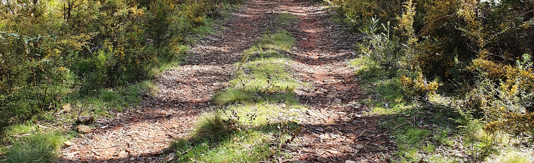 Hume and Hovell Walking Track: Micalong to Log Bridge, New South Wales ...