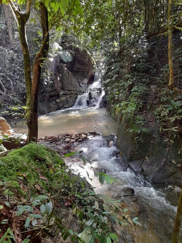 2023 Best 10 River Trails in Serendah | AllTrails